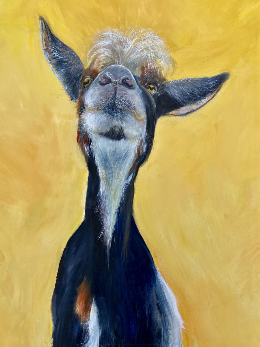 All-Things-Animal-gallery - Workshop13